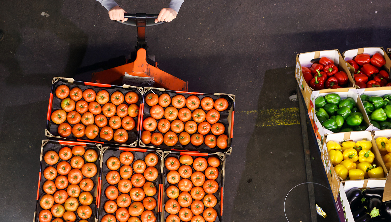 Perishable Goods Supply Chain: Fast Decisions Spell Success