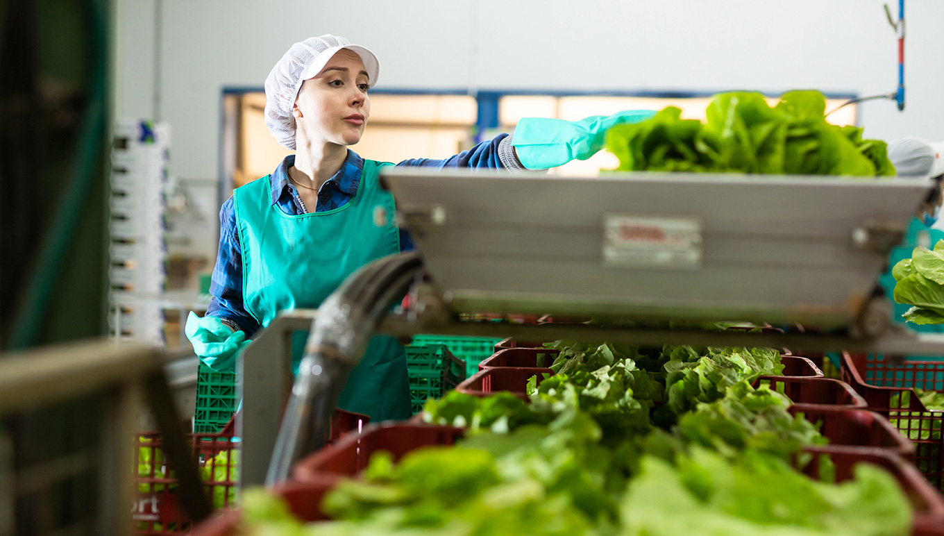 What's New With the Food Traceability Final Rule?